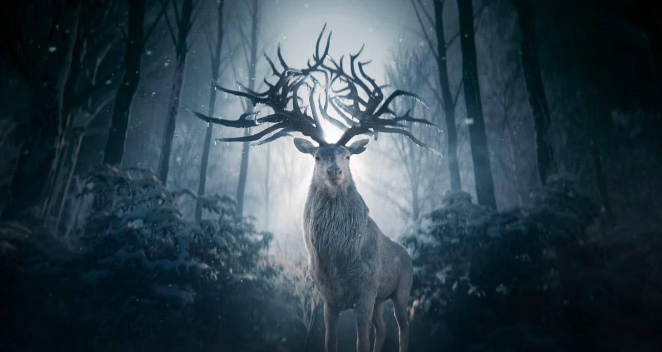 What Are The Amplifiers In Shadow And Bone