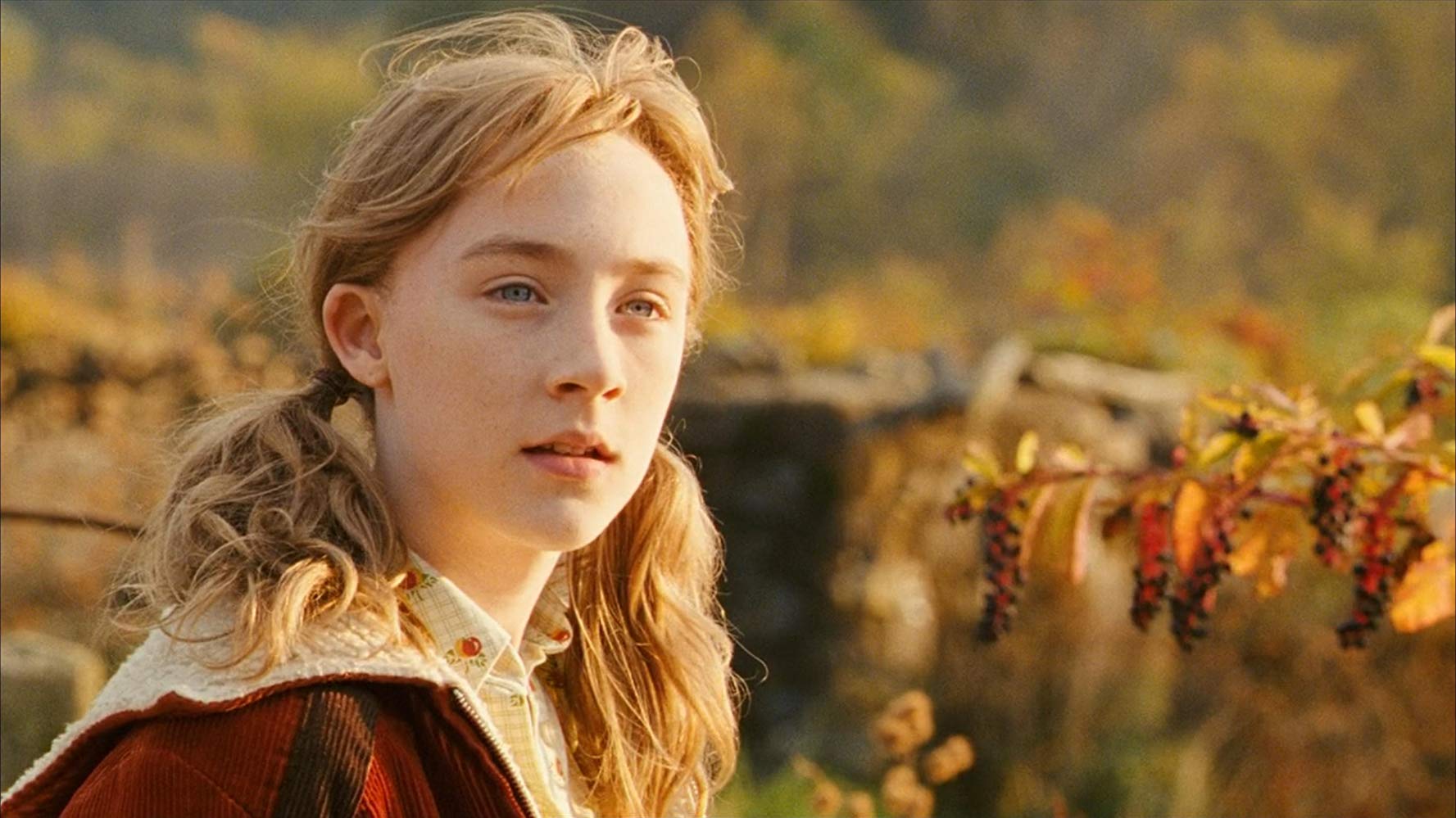 Is The Lovely Bones a True Story? Is the Movie Based on Real Life?