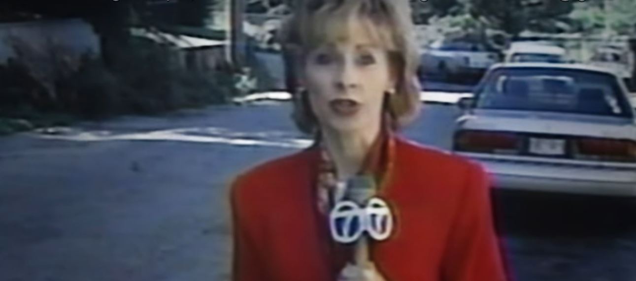 Sarah Wallace Now: Where is WNBC Reporter Today? The Sons of Sam Update