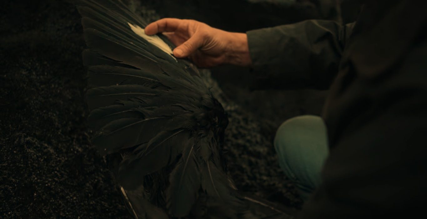 Netflix's Katla Recap/Ending, Explained: Which Grima is Still Alive? How Does the Meteor Work?