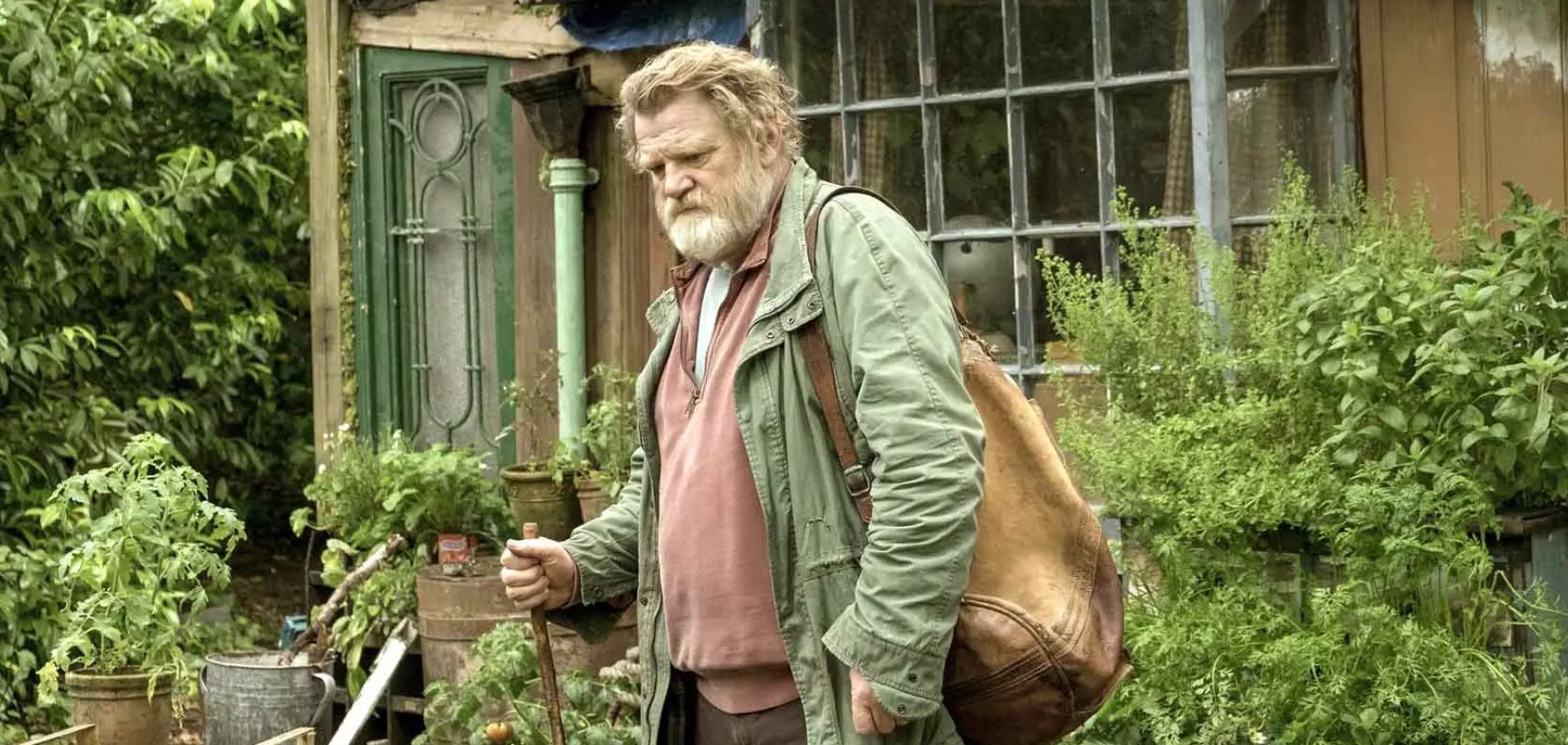 Is Hampstead a True Story? Is the Movie Based on Real Life?