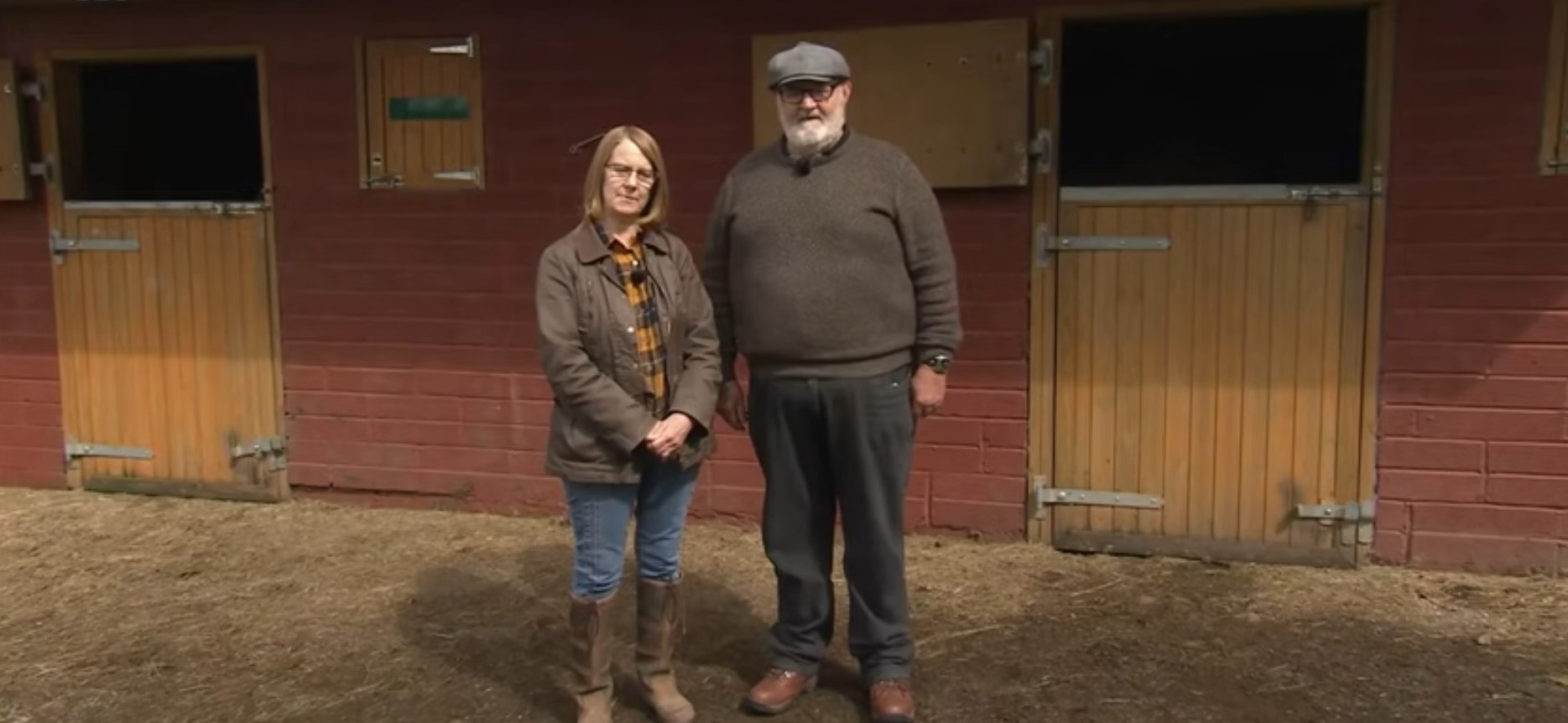 Is Dream Horse a True Story? Is the Movie Based on Janet Vokes?