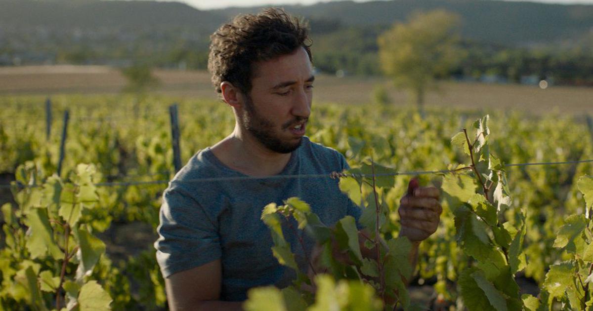 Where Was The Swarm Filmed? Netflix Filming Locations