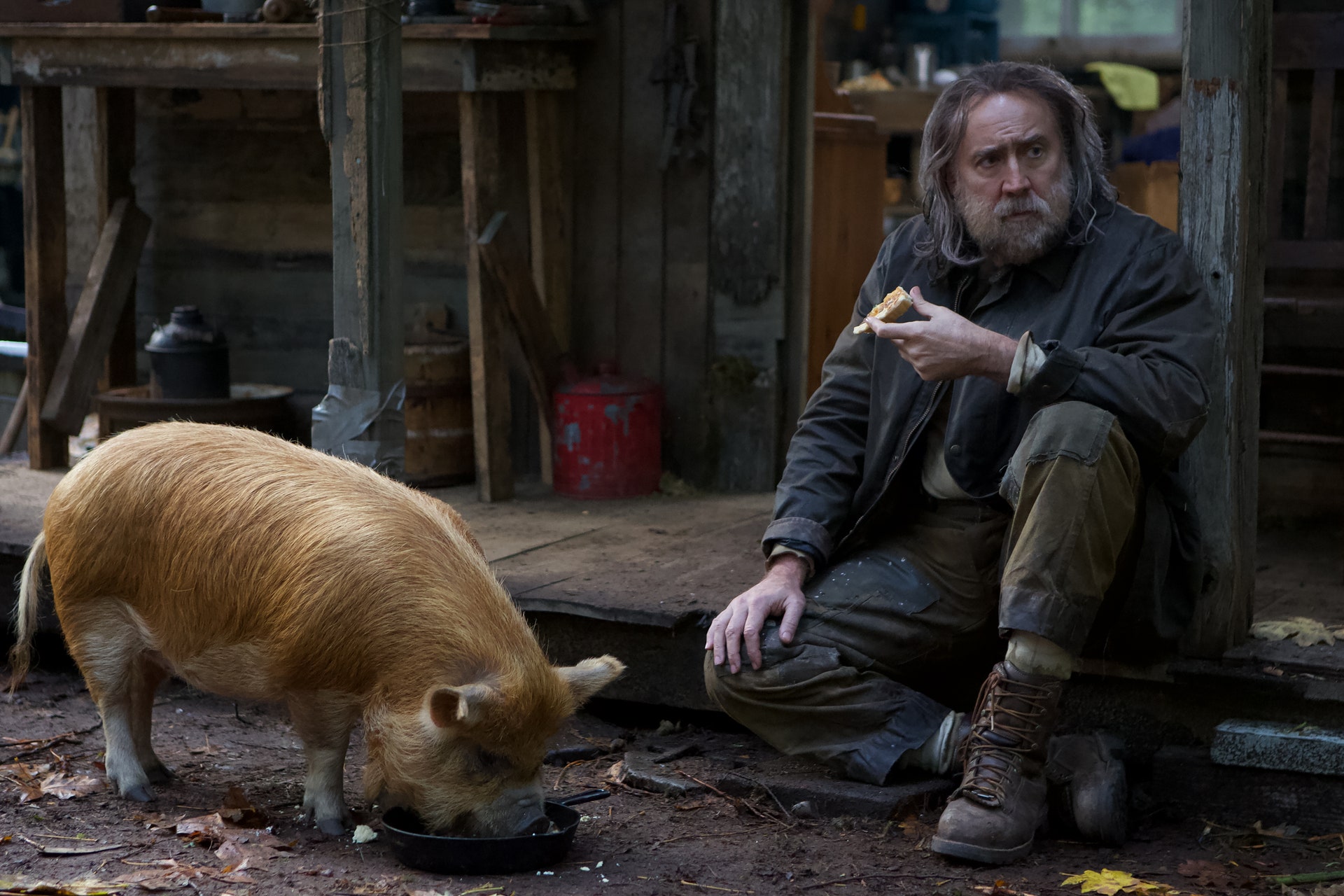 Pig Ending, Explained: Why Did Robin Choose a Hermit's Life? Does Robin Find His Pig?