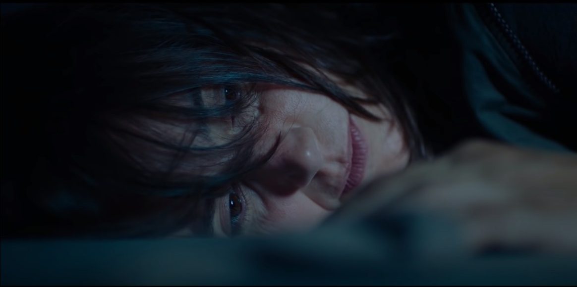 Is The Swarm a True Story? Is the Netflix Movie Based on Real Life?