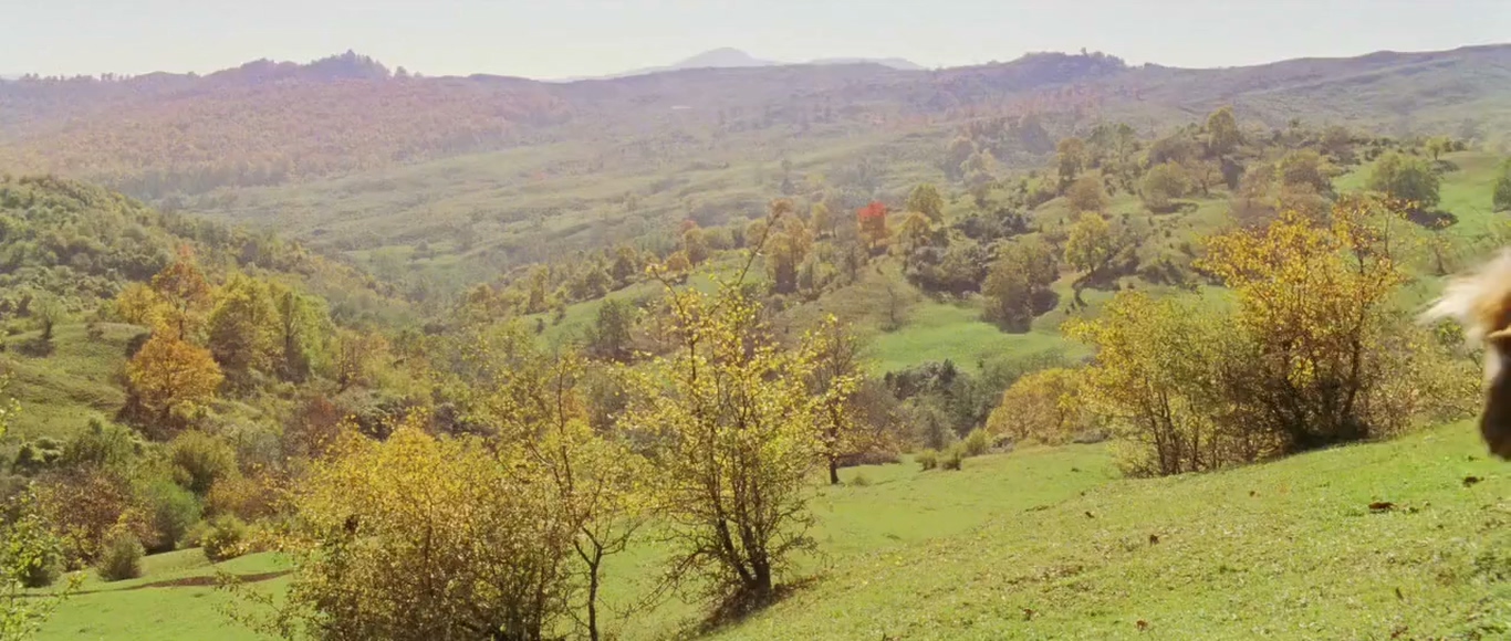 Where Was Cold Mountain Filmed? 2003 Movie Filming Locations