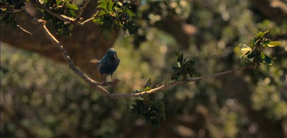 Is The Starling a True Story? Is the Netflix Movie Based on Real Life?