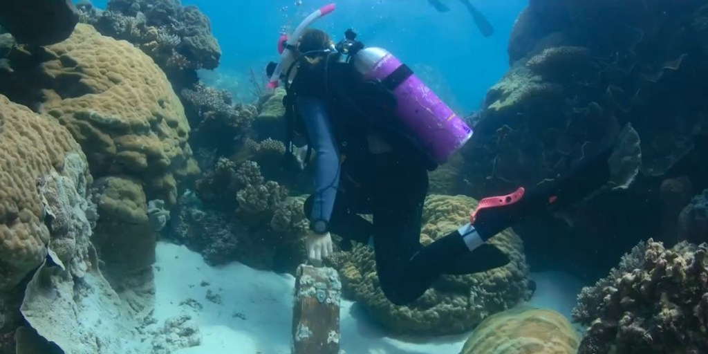 Where Is Dive Club Filmed? Netflix Filming Locations