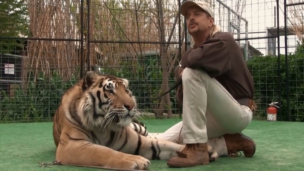 Tiger King Season 1 Recap: Full Summary