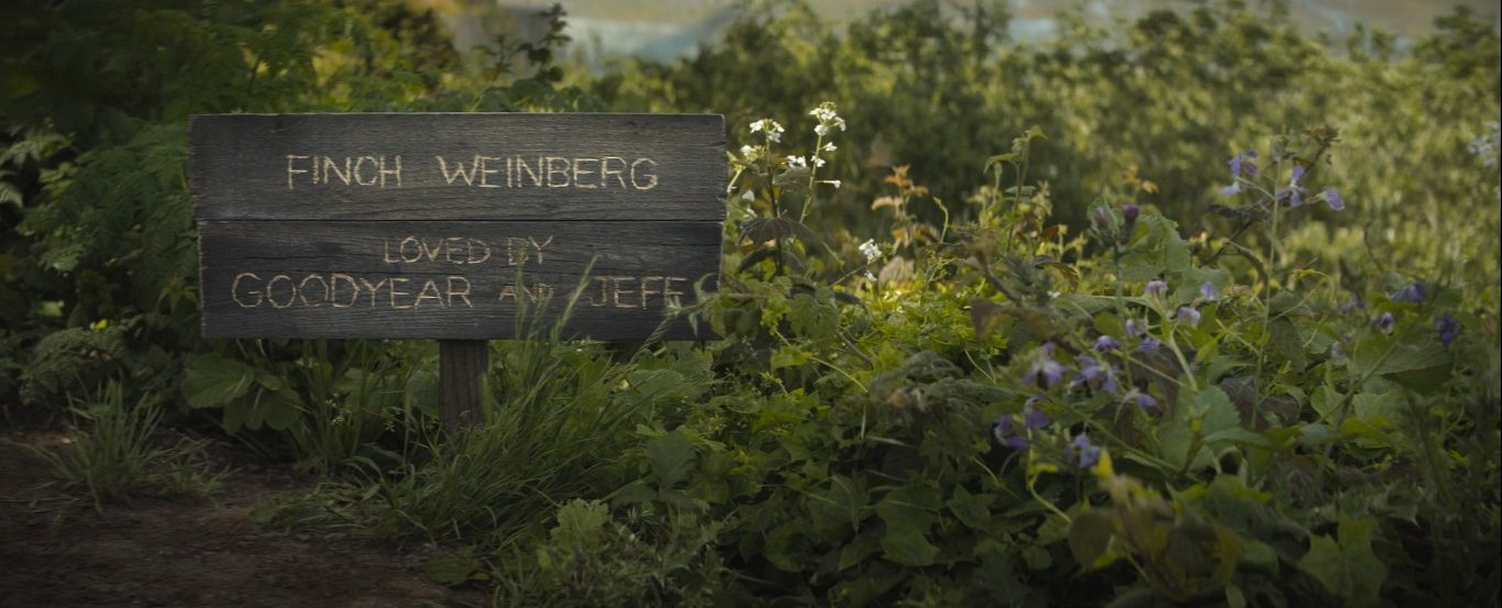 Is Finch Dead or Alive at the End of Finch?