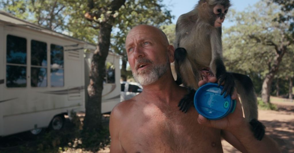 What is Tim Stark's Net Worth?