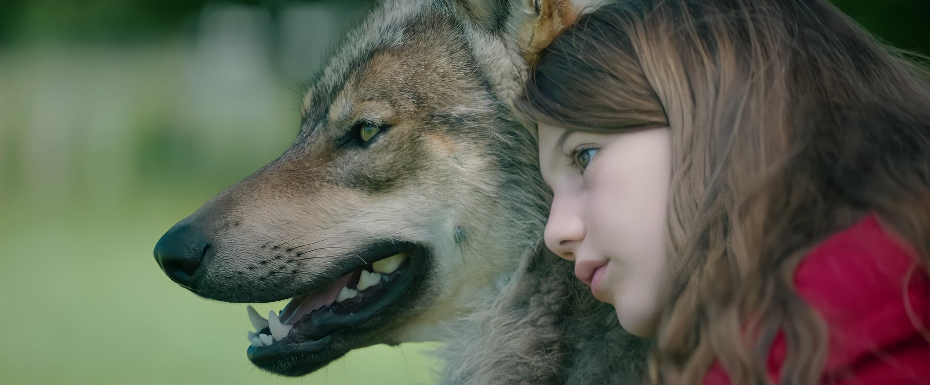 Does the Dog Mystery Die in Vicky and Her Mystery? [Spoiler]