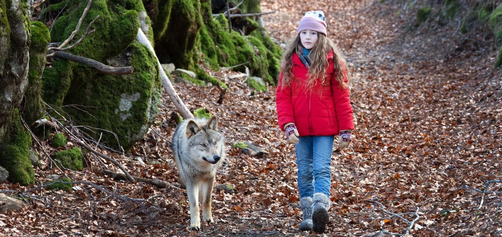 Does the Dog Mystery Die in Vicky and Her Mystery? [Spoiler]