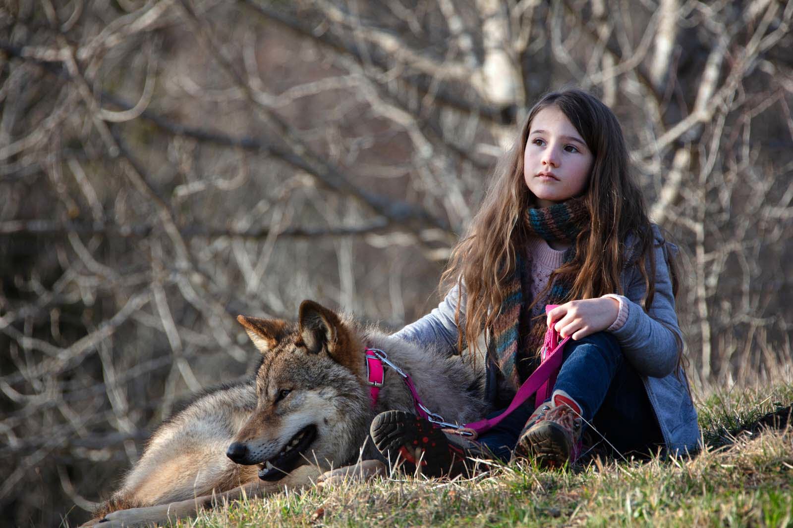 Is Vicky and Her Mystery a True Story? Is the Netflix Movie Based on ...