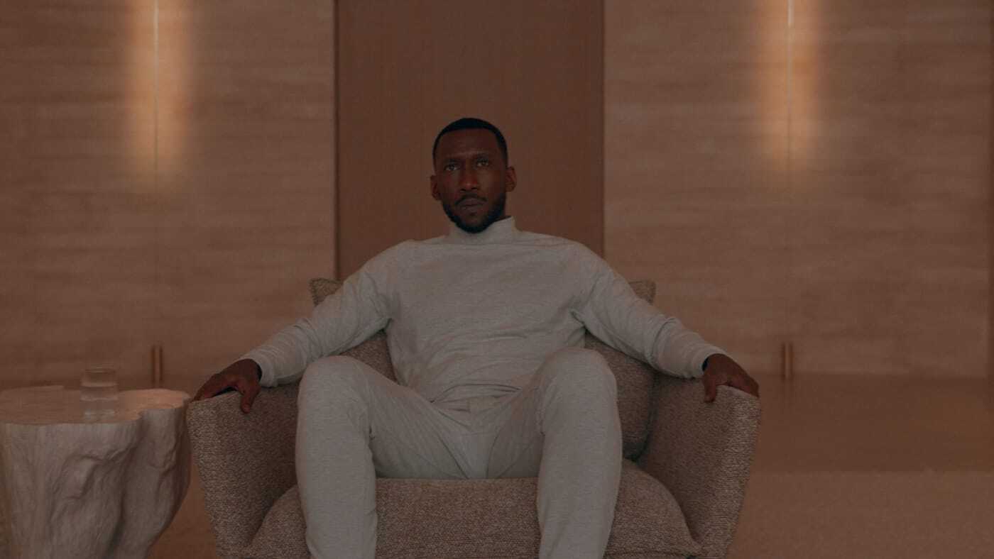 Swan Song Ending, Explained: What Does Cameron Choose?