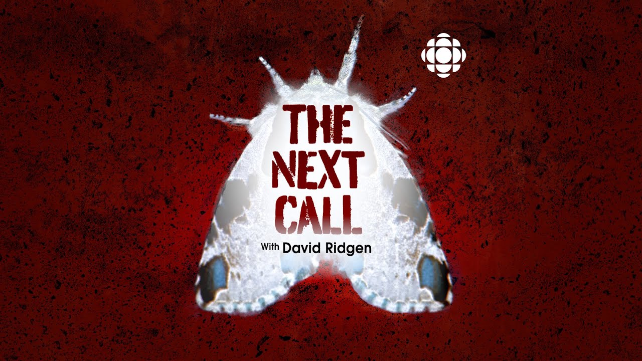 12 Best New True Crime Podcasts of 2021