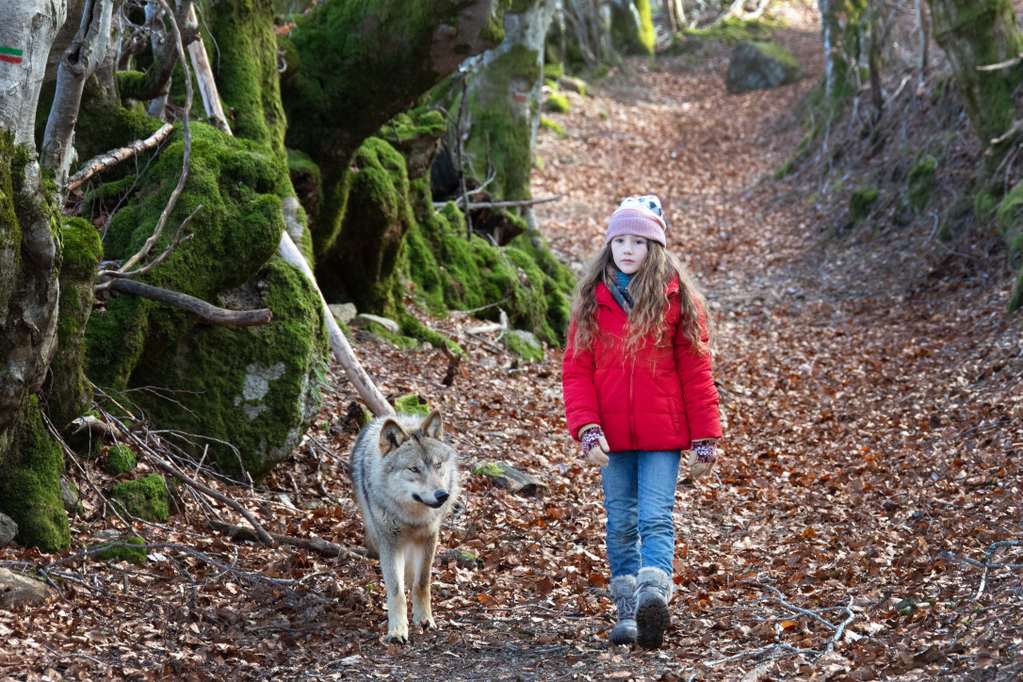 Is Vicky and Her Mystery a True Story? Is the Netflix Movie Based on ...