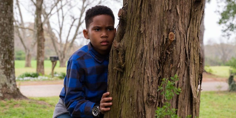 Raising Dion Season 2 Ending, Explained: Is Nicole Cured? Is Pat Alive?