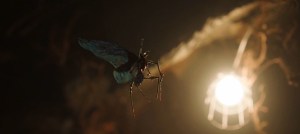 What Is Project Butterfly in Peacemaker? Who is Behind It?