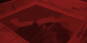 The In Between Ending, Explained: Is Tessa Dead or Alive?