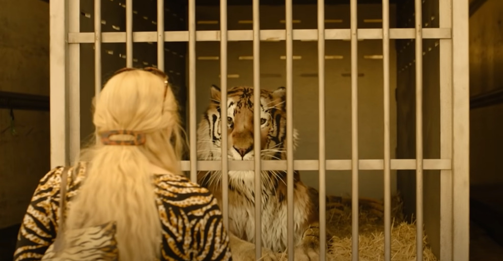 Does Joe Exotic Have a Kid? Where Is Brandon Chappell Now?