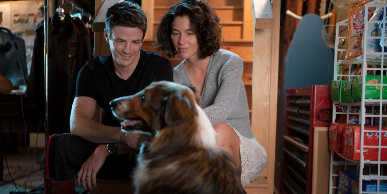 7 Movies Like Rescued by Ruby You Must See