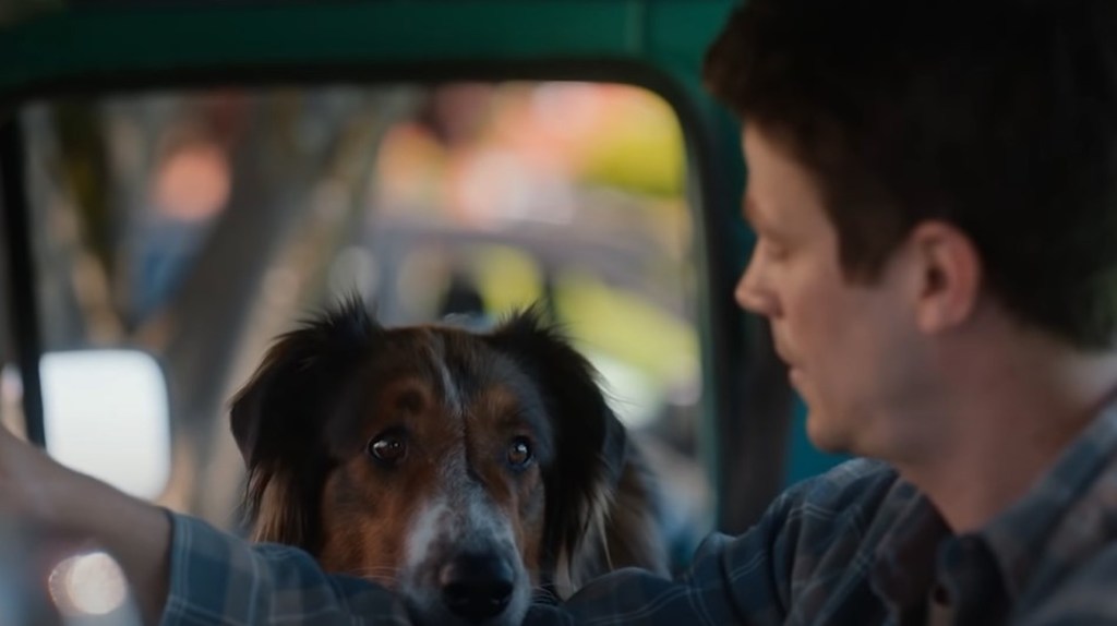 Does the Dog Ruby Die in Rescued by Ruby?