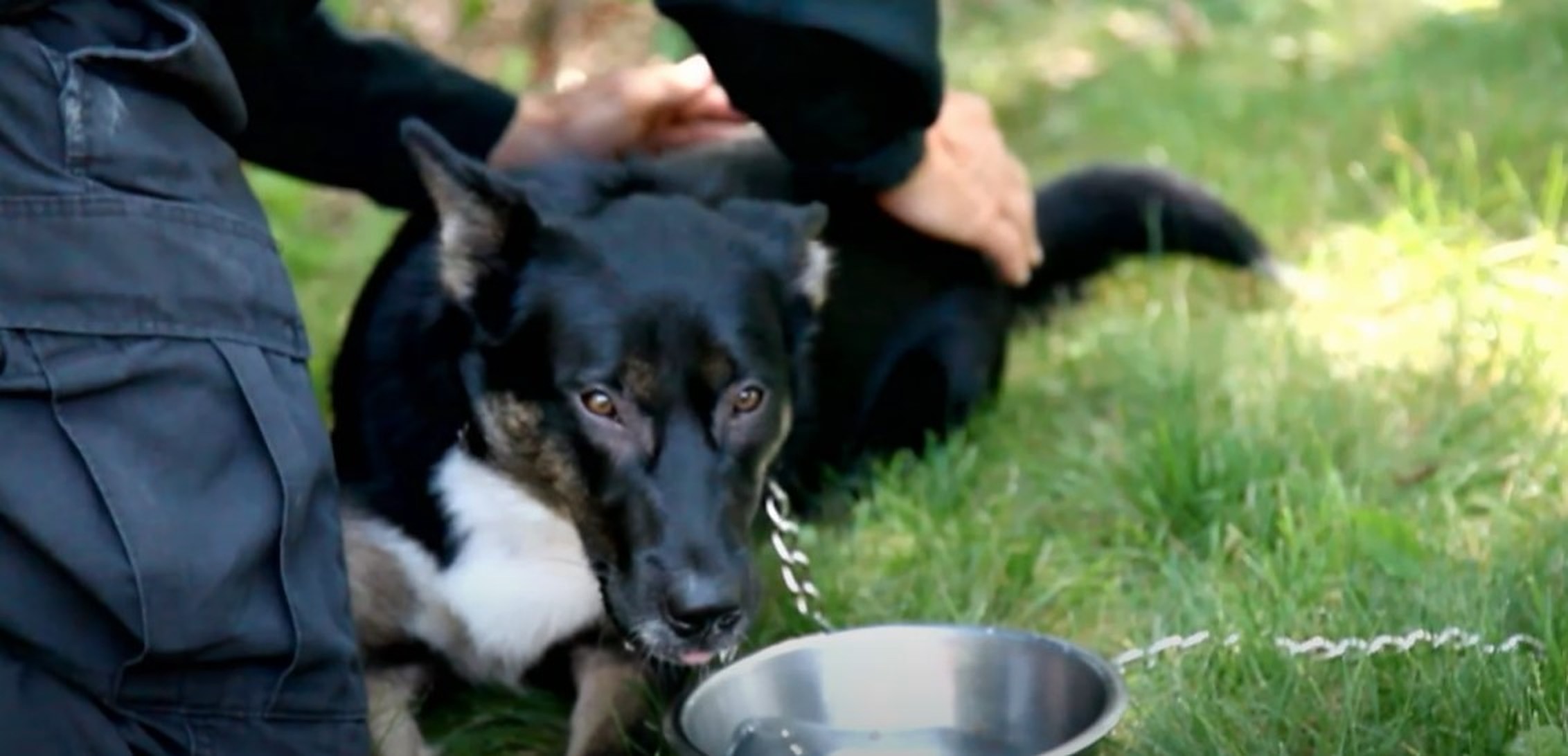 Is Rescued by Ruby a True Story? Is the Netflix Movie Based on Real Life?