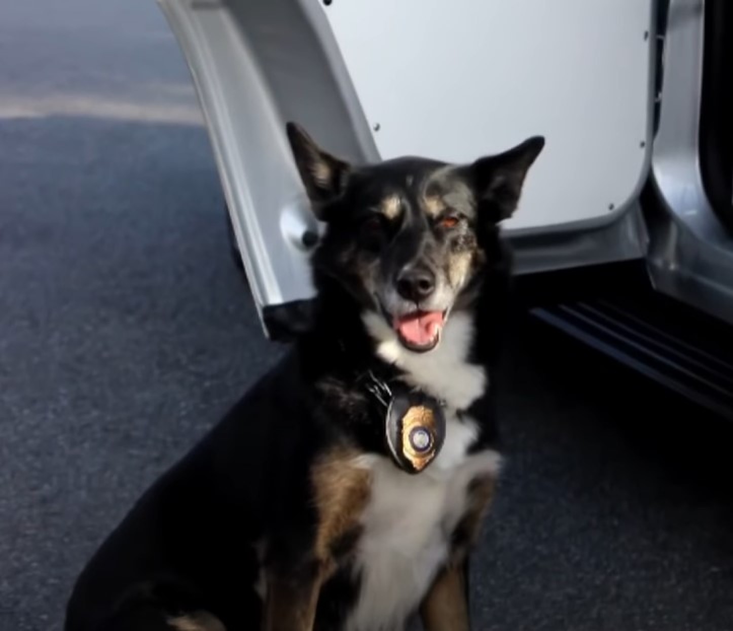 Is Rescued by Ruby's Pat Inman Based on a Real Person? Where is She Now?