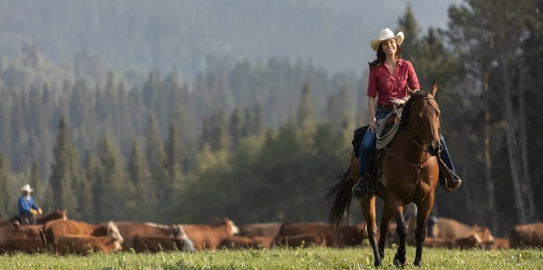 Where and What Year Does Heartland Take Place?