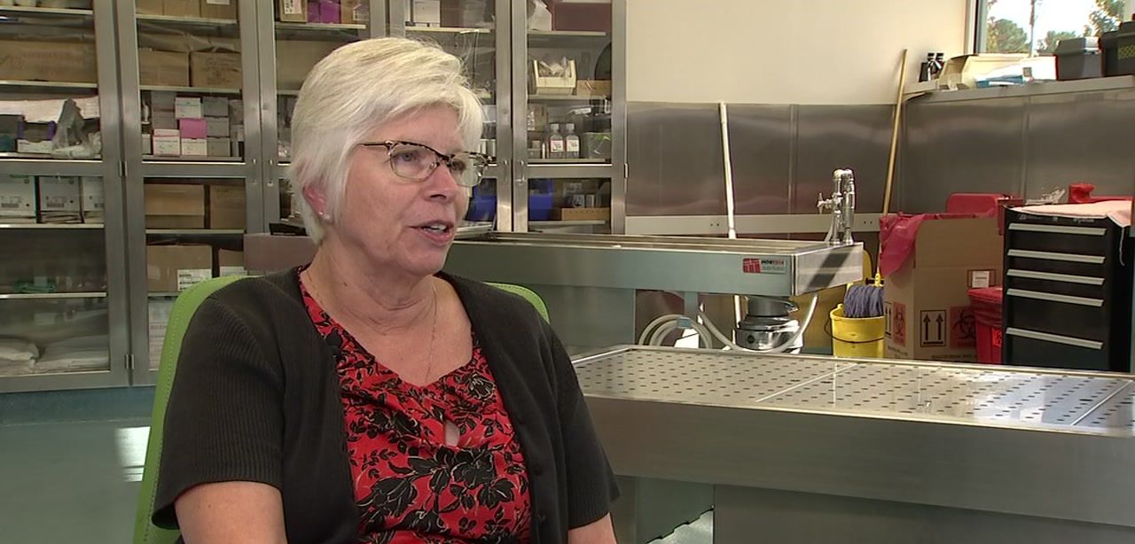 Are Deborah Radisch and Henry Lee Based on Real People? Where Are They Now?