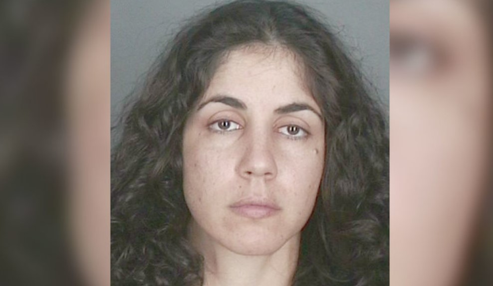 Anna Lisa Raymundo Murder: Where is Sheila Davalloo Now? - The Cinemaholic