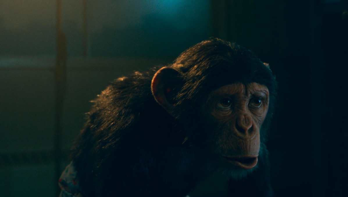 How is Pogo Alive in The Umbrella Academy? How Had He Died in Season 1?