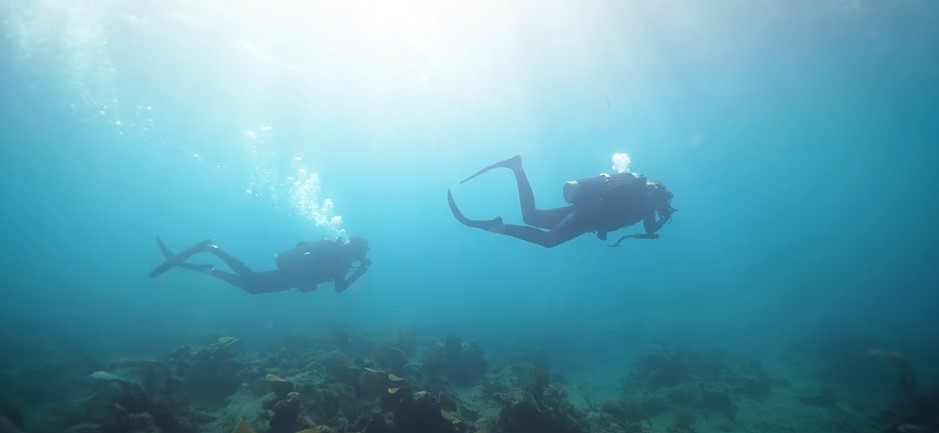 7 Treasure Hunting Shows Like Pirate Gold of Adak Island You Must See