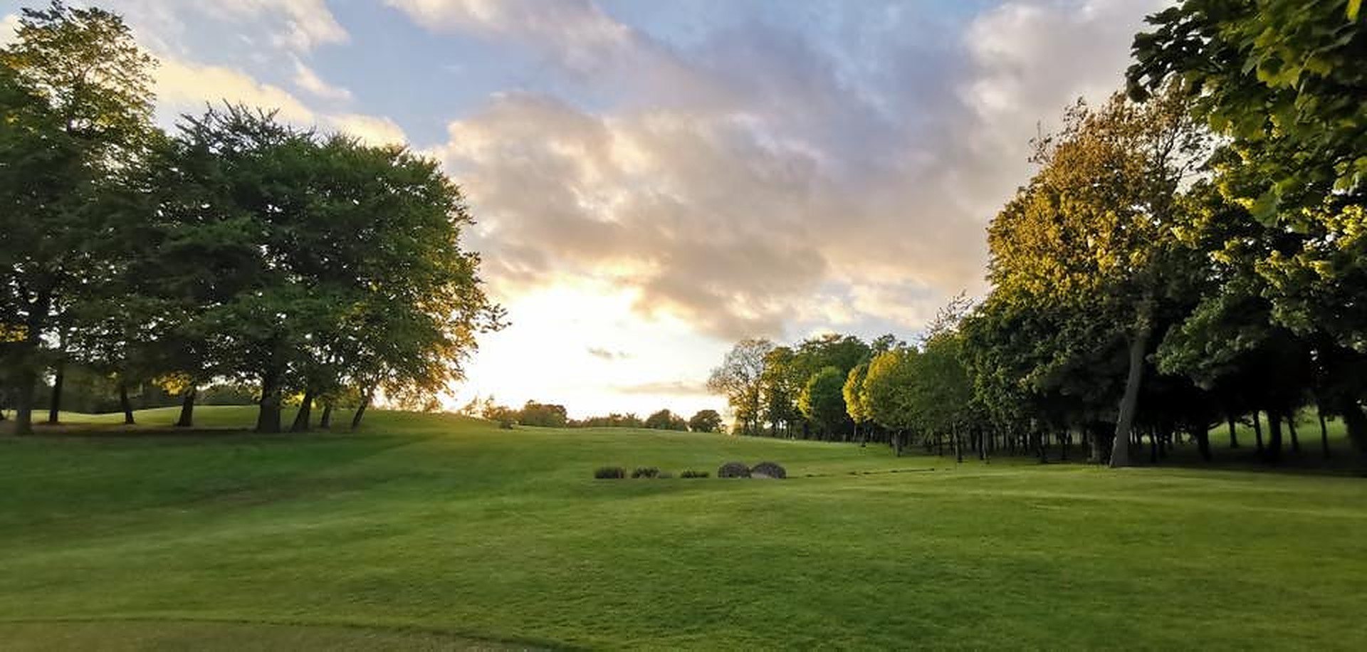 Where Was Ann Walker Buried? Where is Her Estate Now?