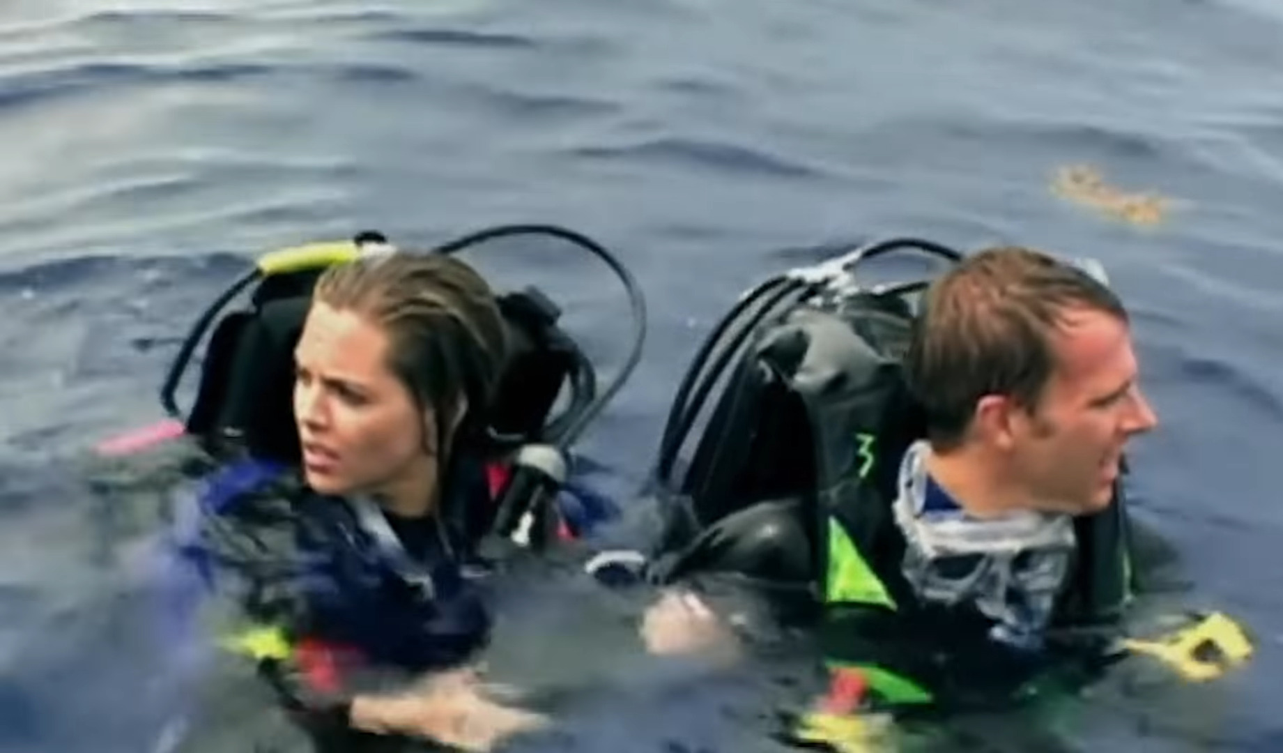 6 Movies Like The Requin You Must See