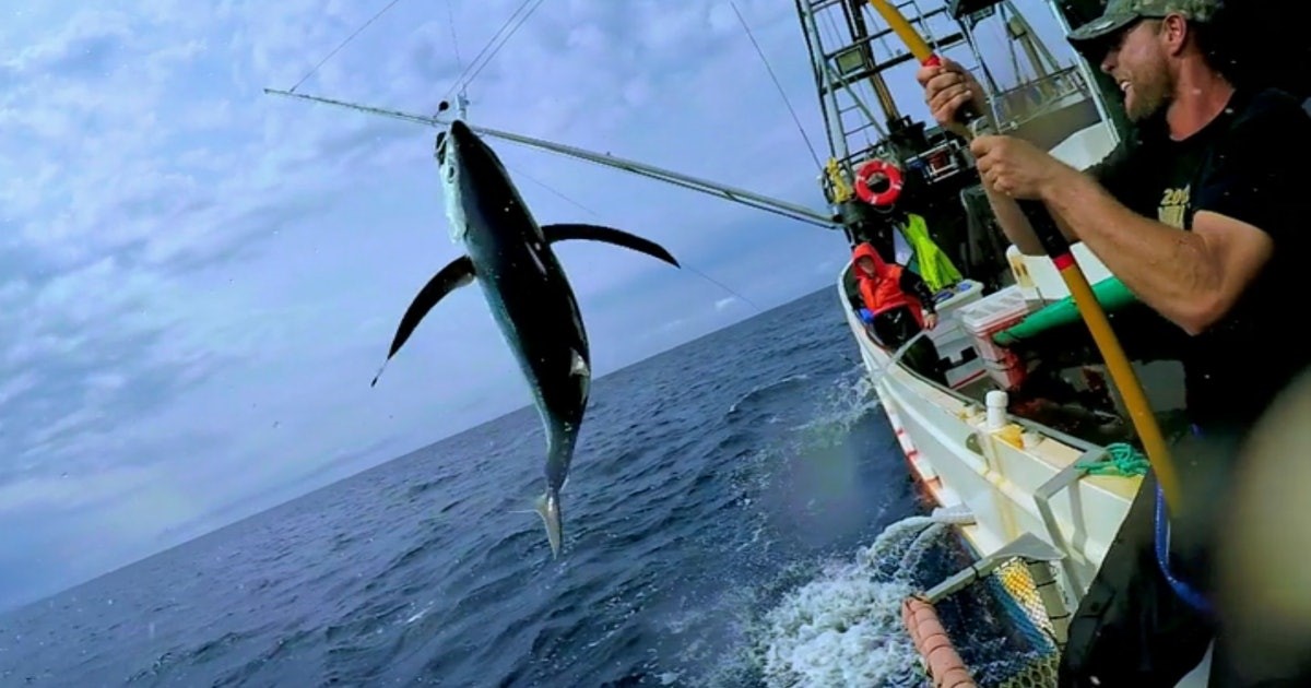 7 Shows Like Big Timber You Must See