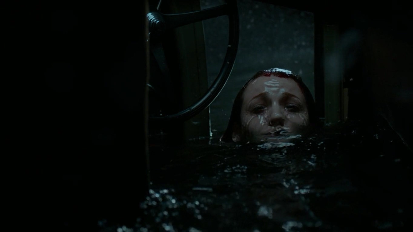 The Age of Adaline Ending, Explained: How Did Adaline Stop Aging?