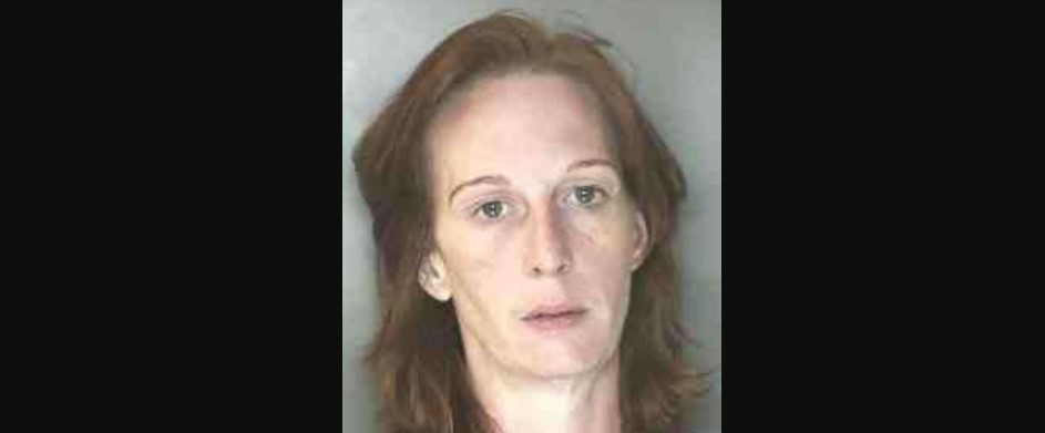 David Castor and Michael Wallace: How Did Stacey Castor's Husbands Die?