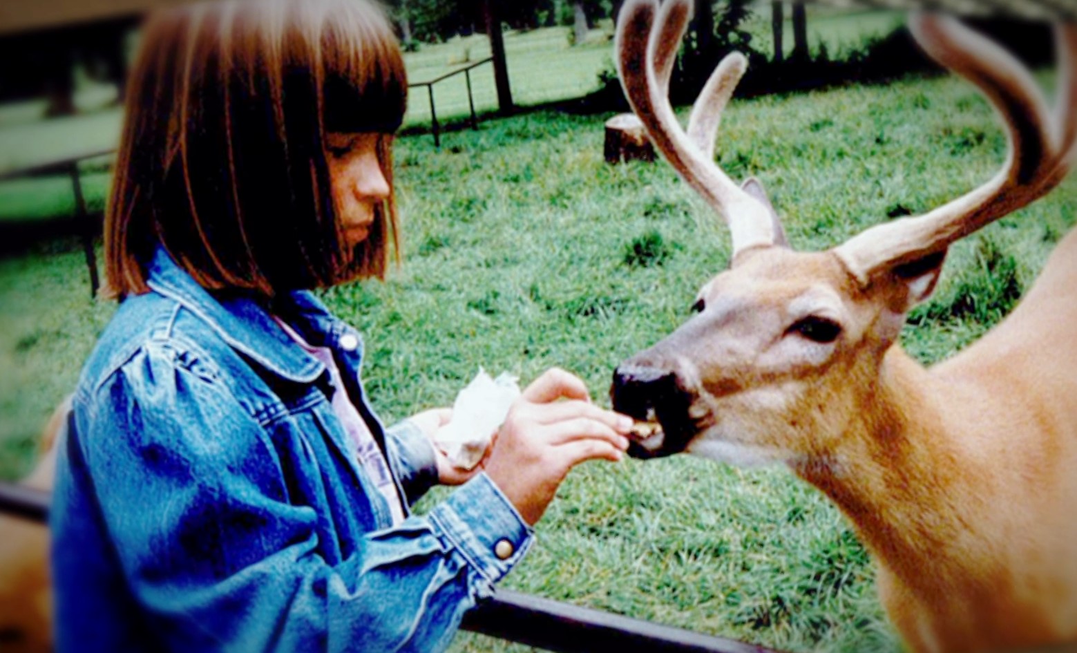 Cora Jones Murder: Is David Spanbauer Dead or Alive?