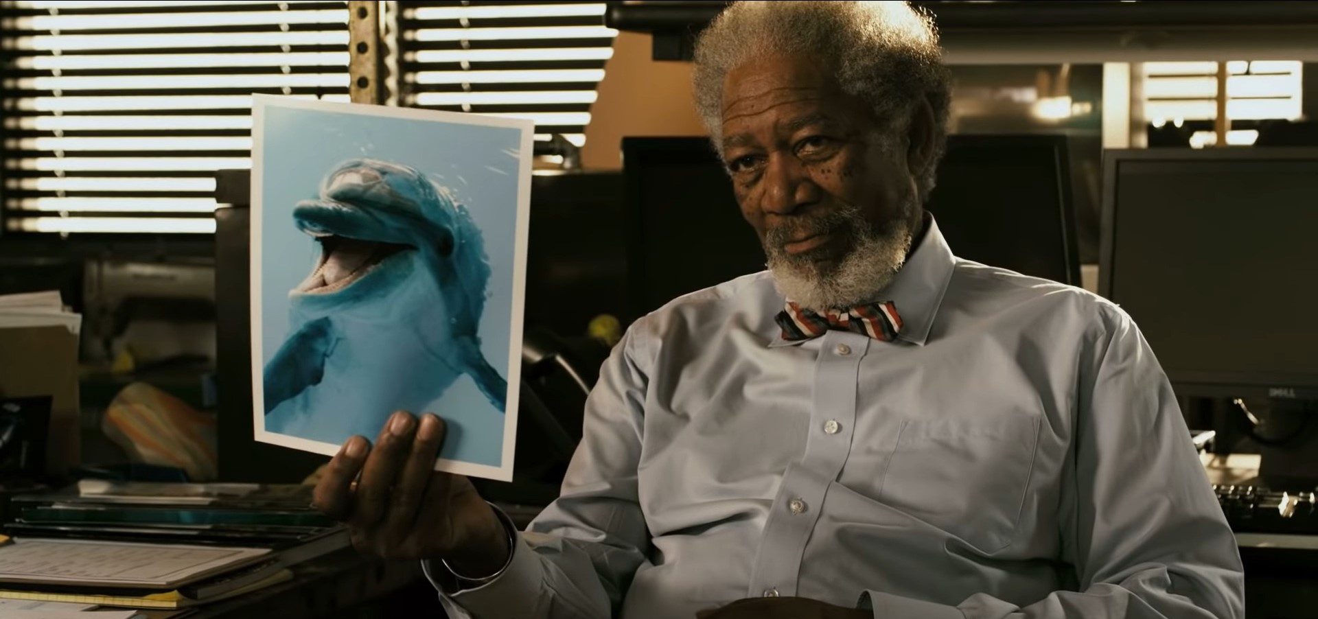 Dolphin Tale: Where Was the 2011 Movie Filmed?