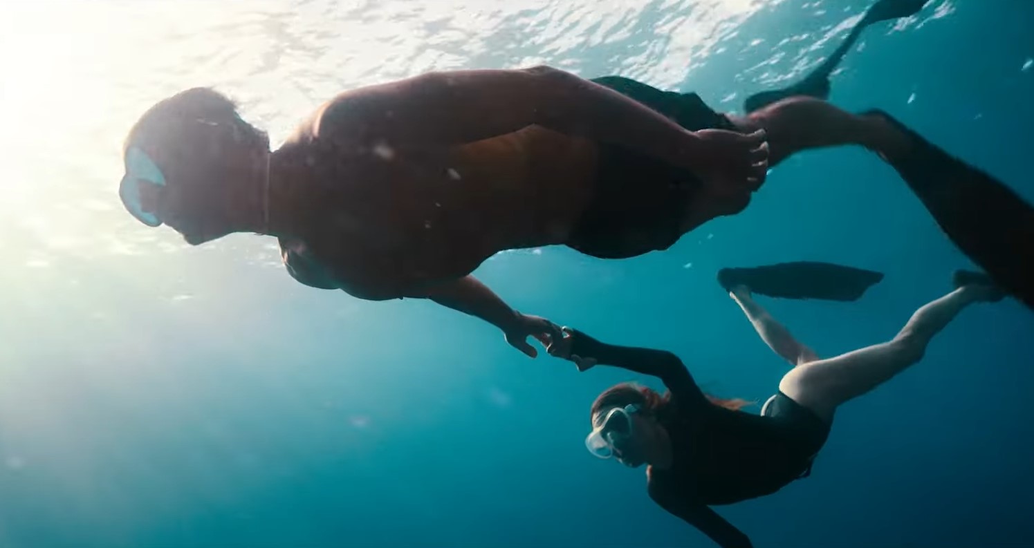 Netflix's No Limit: Is the French Movie Inspired By a True Story?