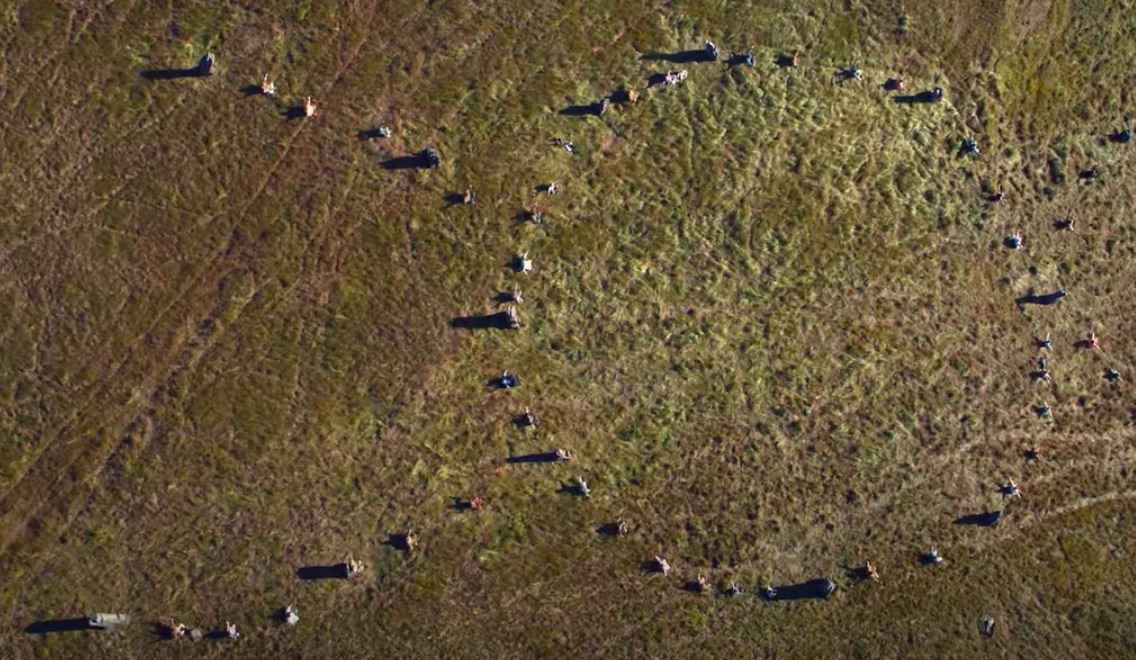 Netflix's Entrapped Season 1 Ending, Explained: Who Killed Ivar?