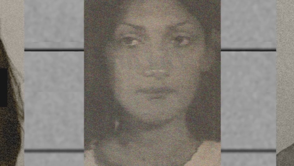 Andrew Vlastos Murder: What Happened to Sylvia Mitchell?