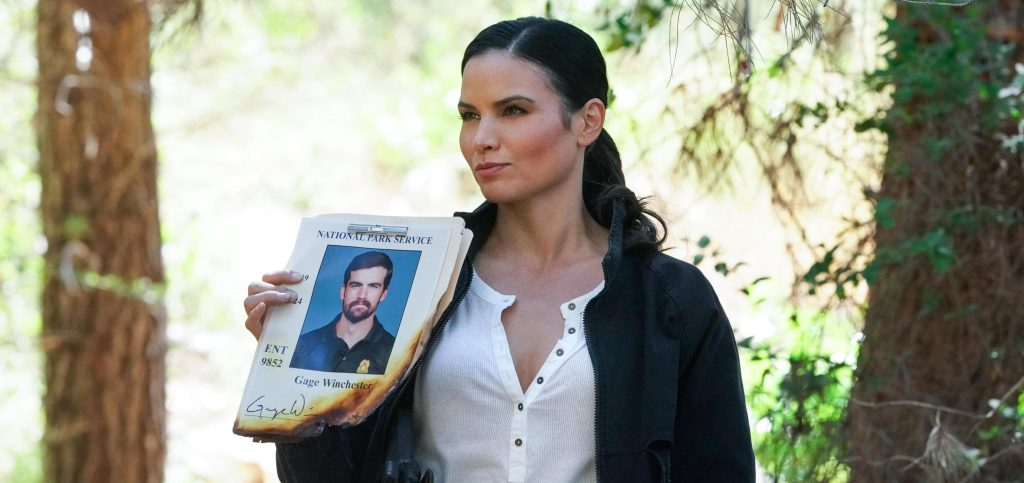 What is NCIS' Katrina Law’s Ethnicity?