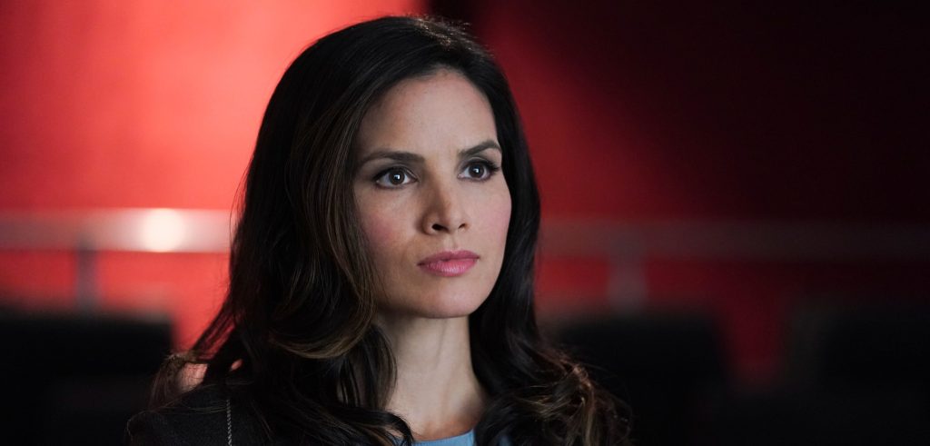 What is NCIS' Katrina Law’s Ethnicity?