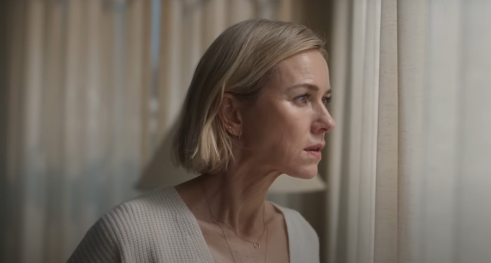 Netflix's The Watcher: Is the TV Show Inspired by a Real Family?