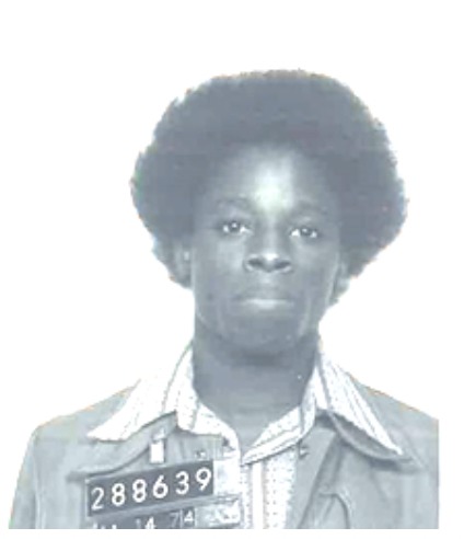 Green Vega Rapists: Who Are They? Were They Freeway Phantom?