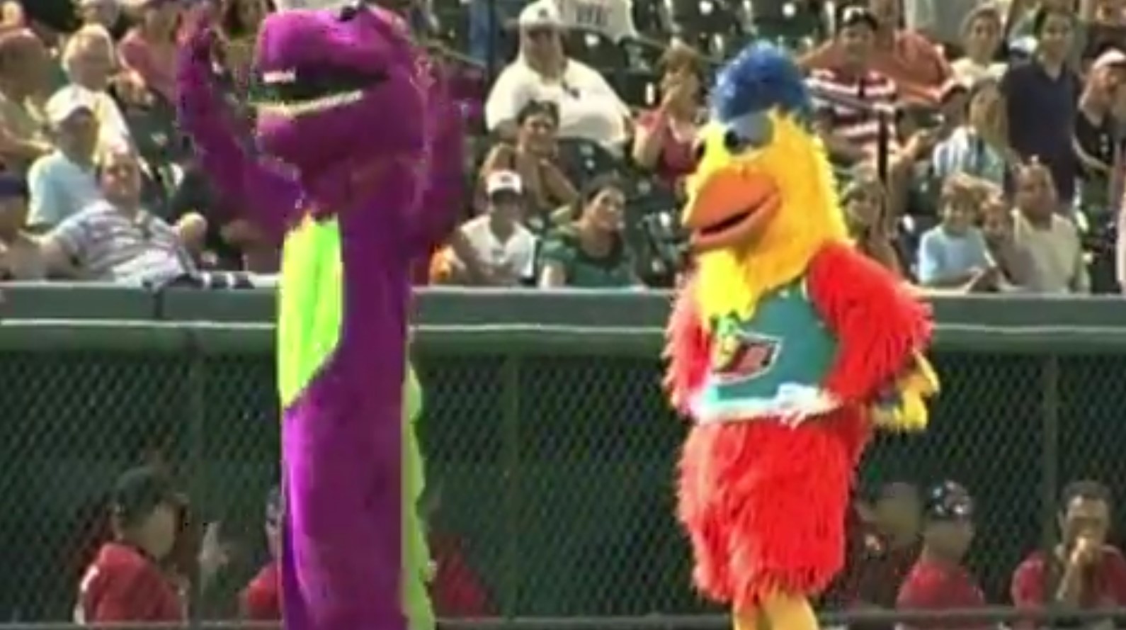 Ted Giannoulas: Where is the San Diego Chicken Mascot Today?