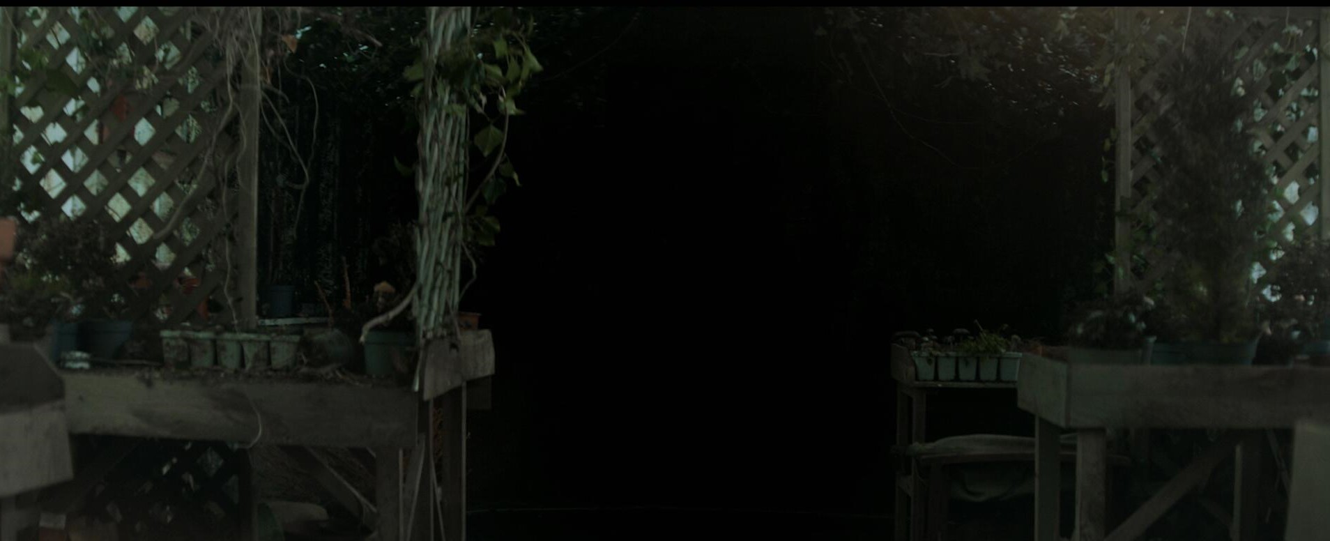 What is the Monster in Matriarch? Is Celia Dead?